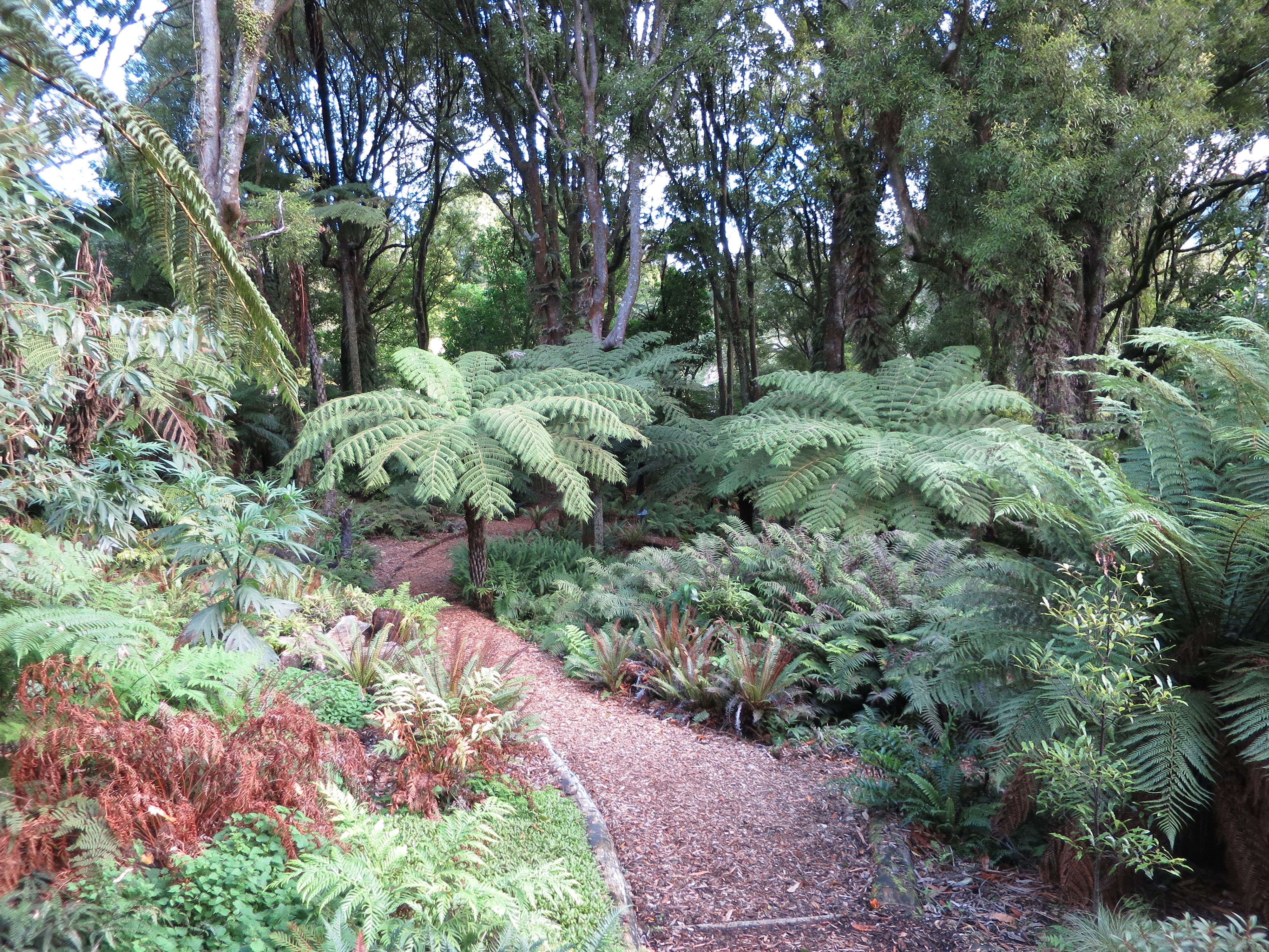Our Top 5 Gardens: Celebrated and Underrated